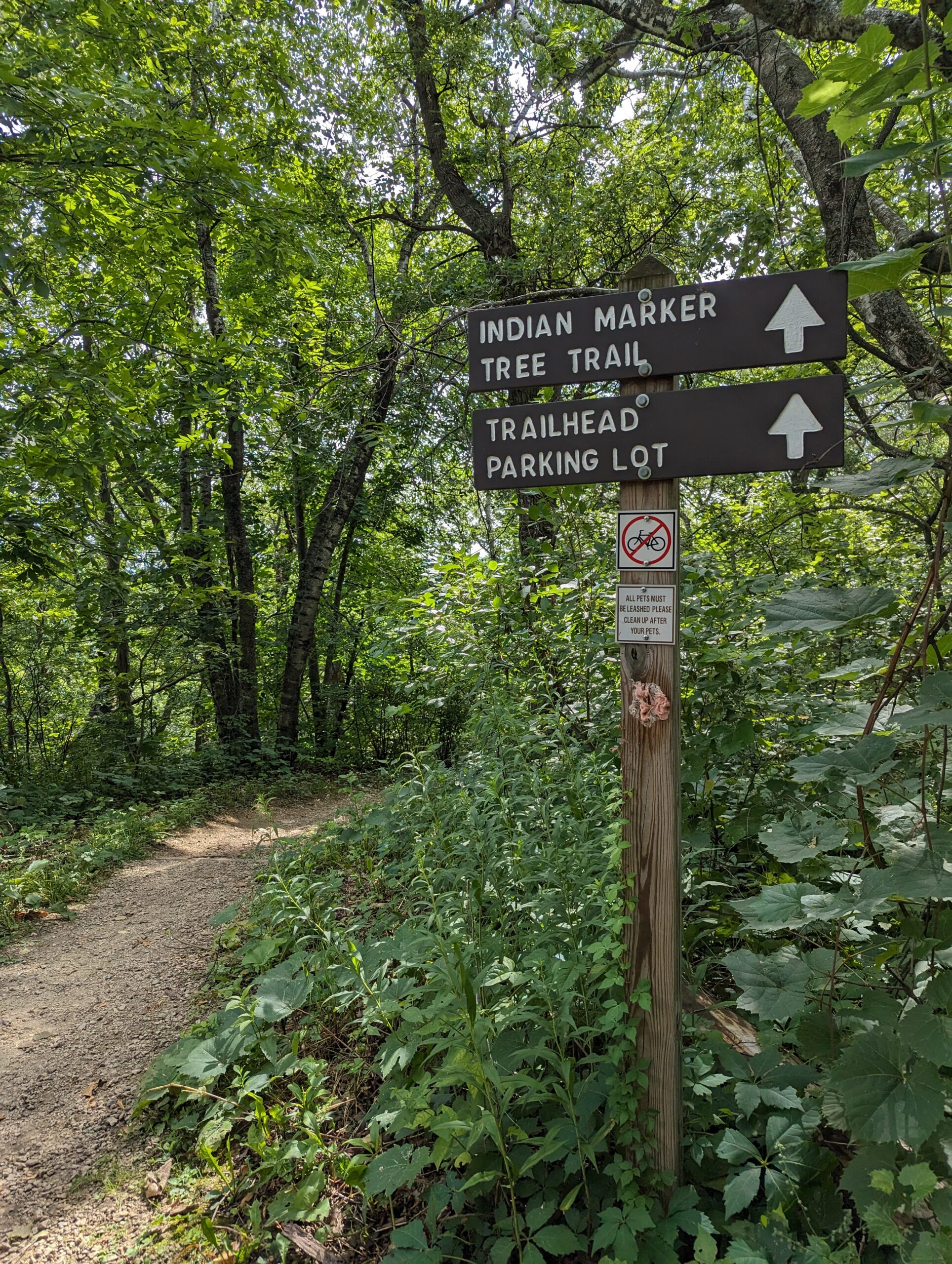 Hiking | Friends of Blue Mound State Park