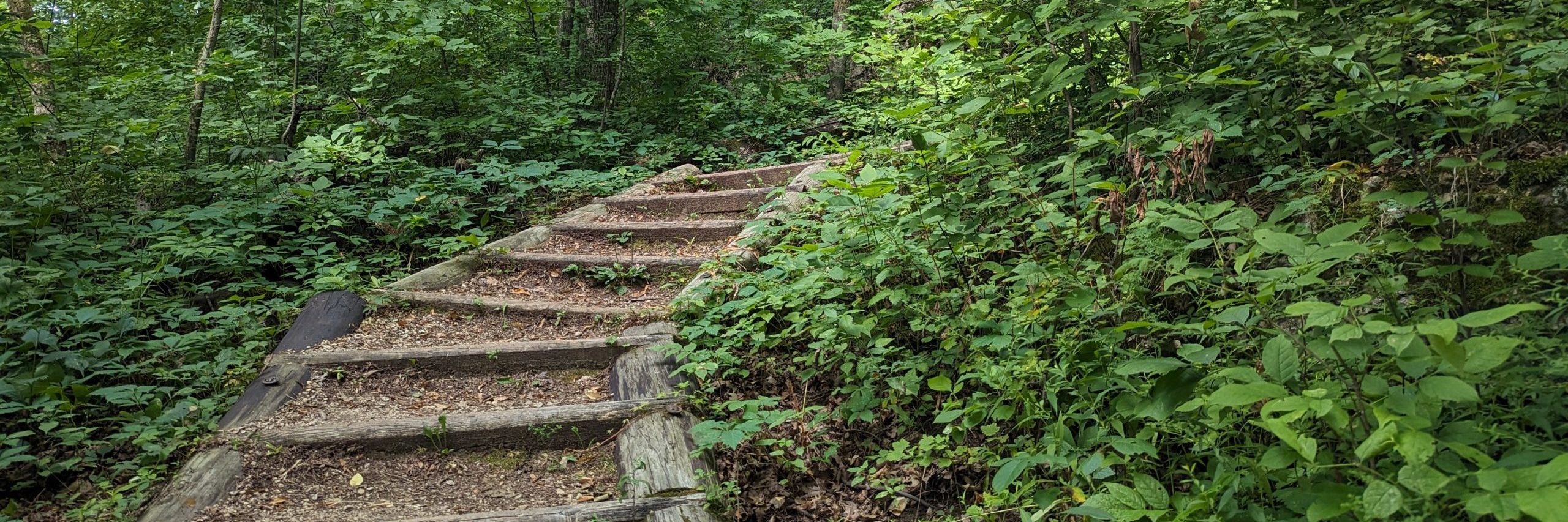 August Naturalist Events | Friends of Blue Mound State Park