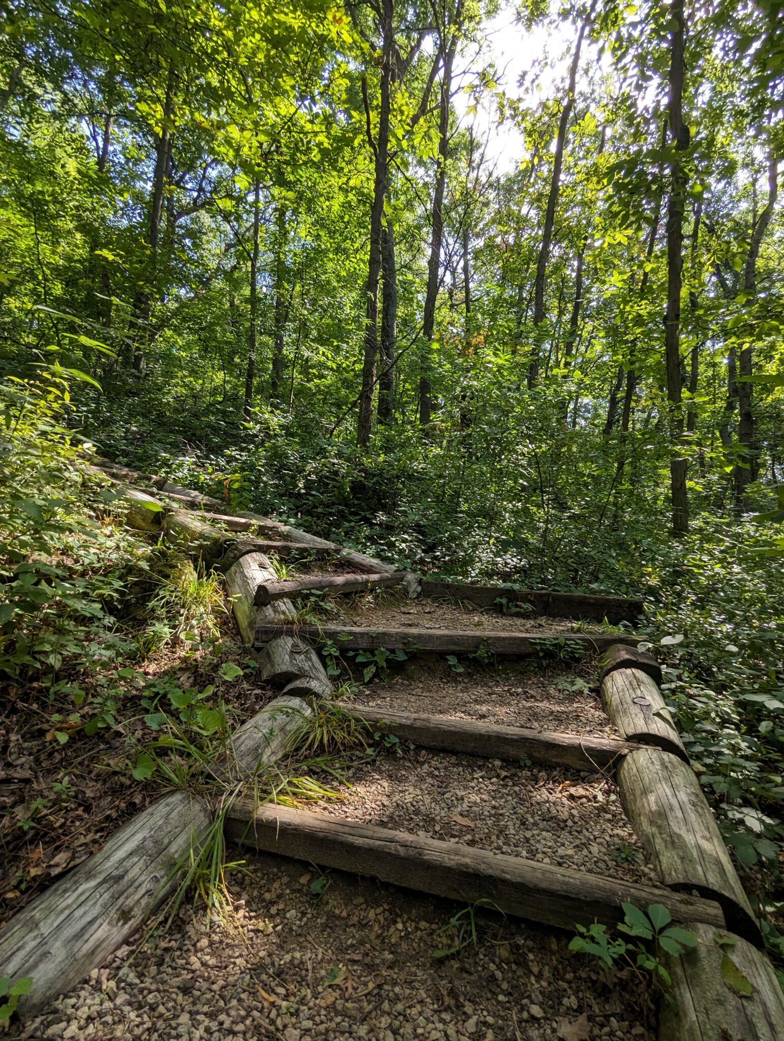 Hiking | Friends of Blue Mound State Park