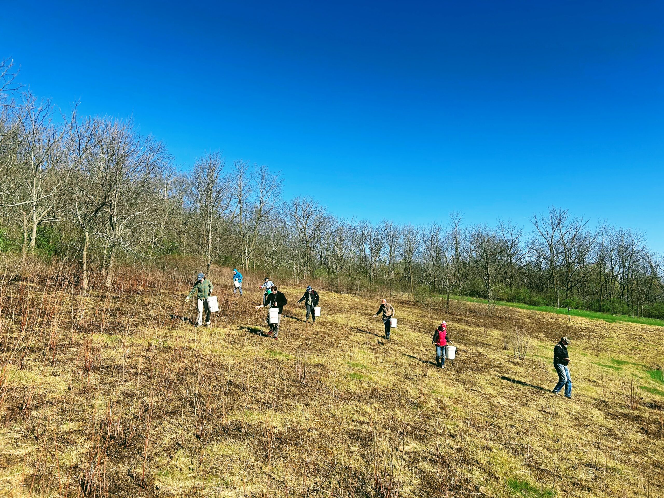 Prairie Restoration Work Days | Friends of Blue Mound State Park